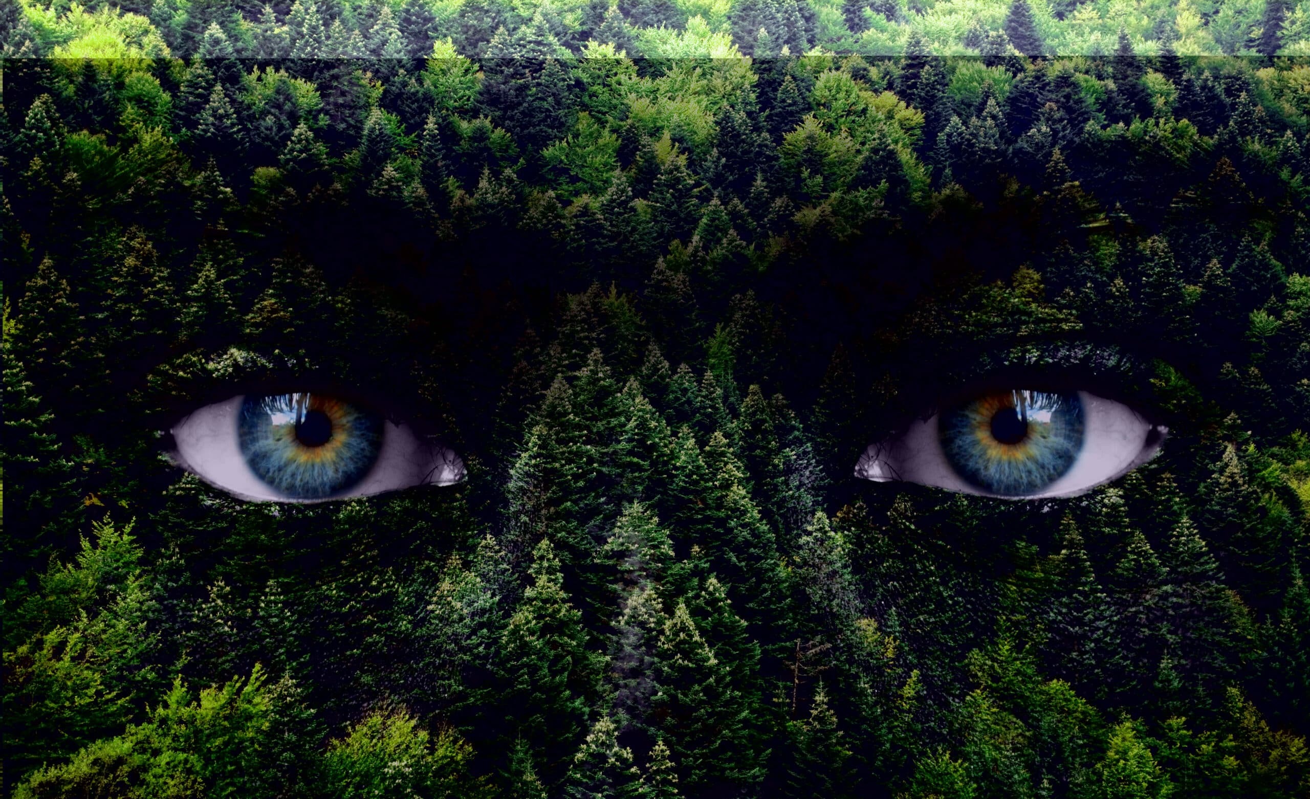 Happier thanks to psychedelics in nature: why outdoor tripping is so ...